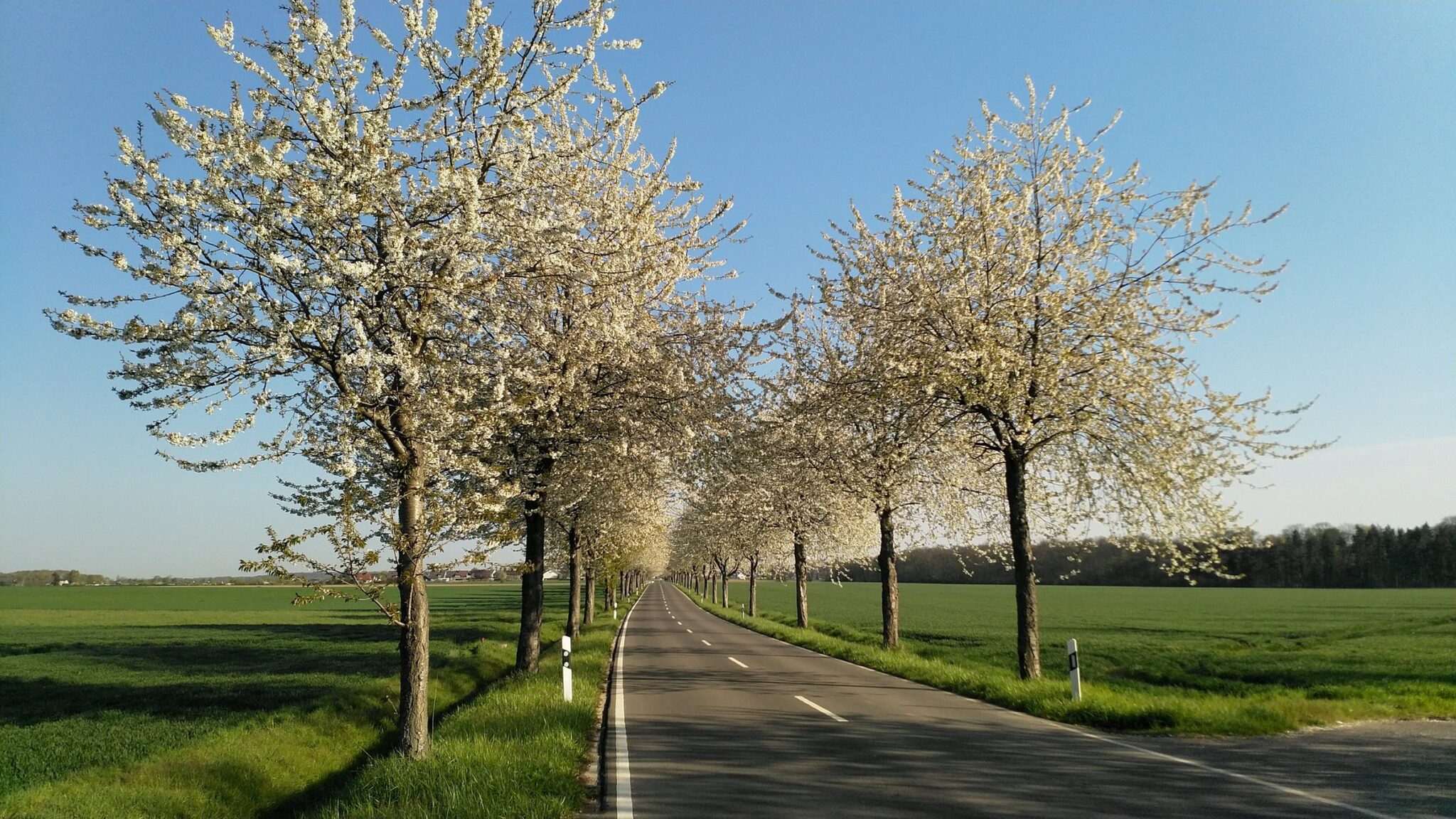 Wir In Swisttal